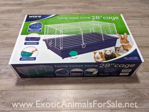Male Hedgehog with Cage - Located in Oklahoma for Sale