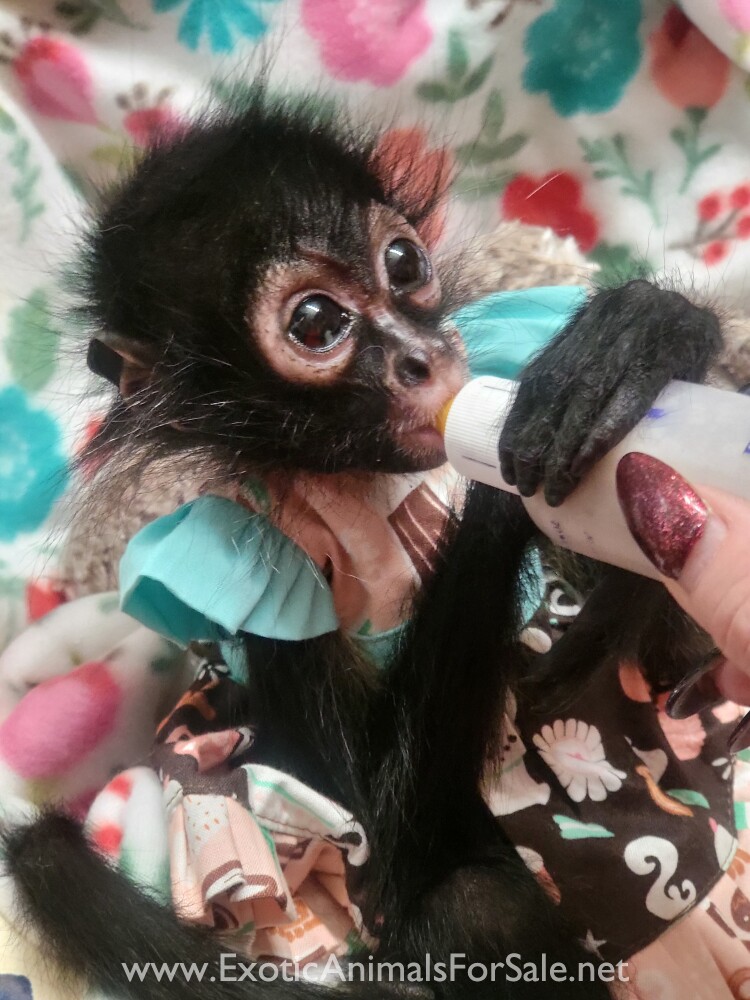 Edith Bernard Profile