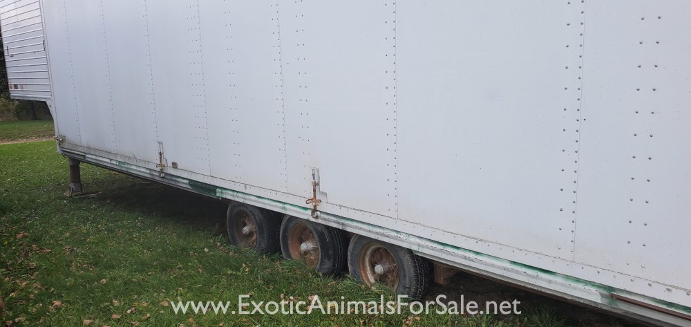 Walk through bird trailer for Sale