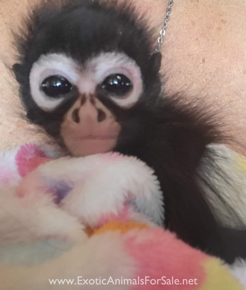 Edith Bernard Profile